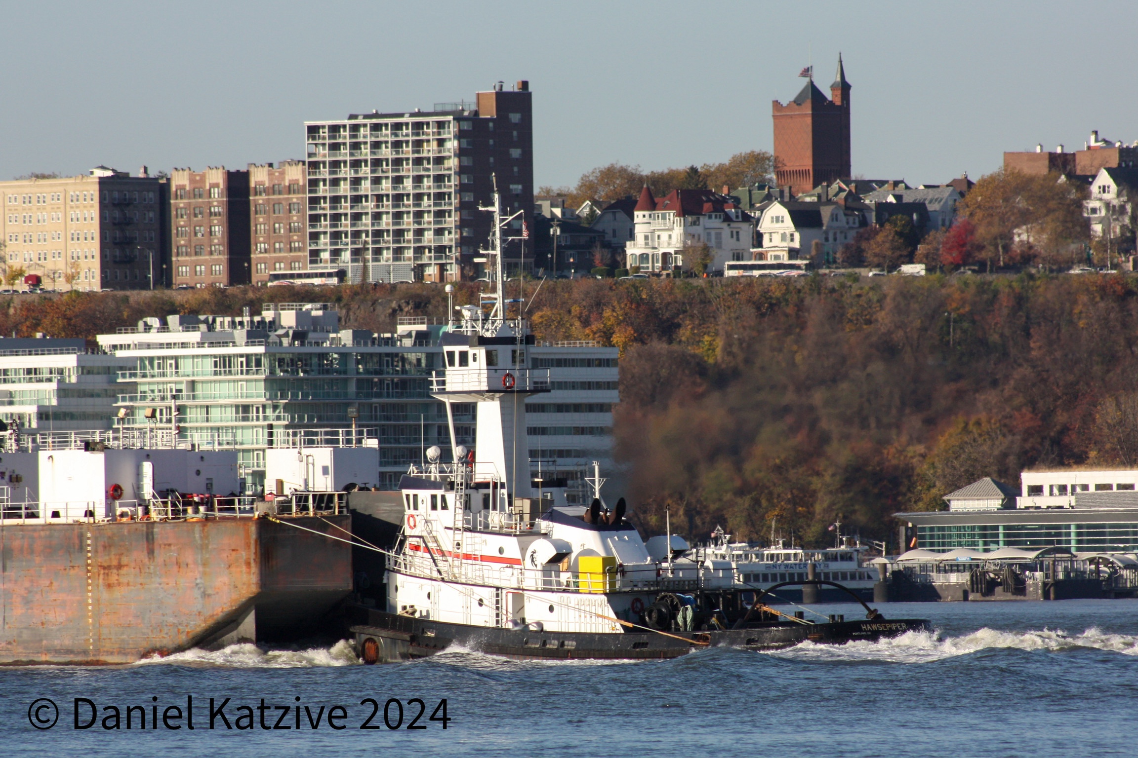 Flaco passing through – North River Notes